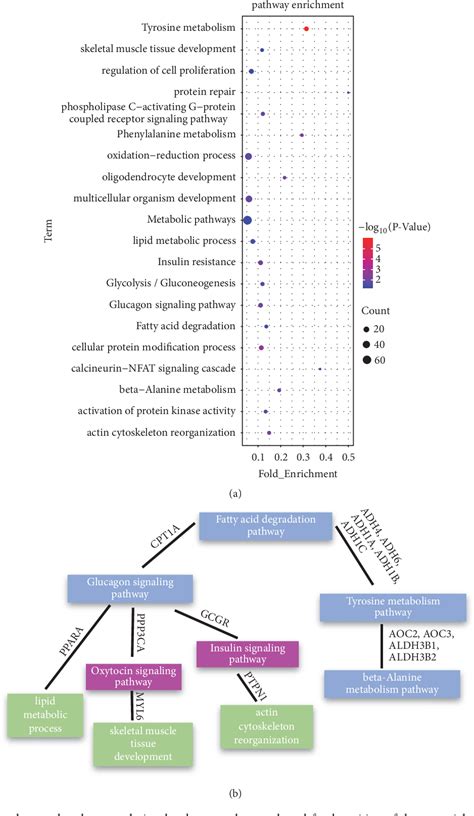 Figure 4 From Transcriptome Analysis Reveals The Effect Of Long