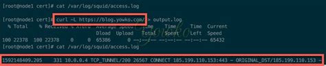 Squid Proxy Https 設定 Yowko s Notes