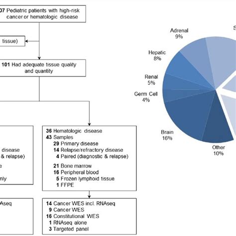 Pipseq Overview An Overview Of The Pipseq Patients Sequenced Is Download Scientific Diagram
