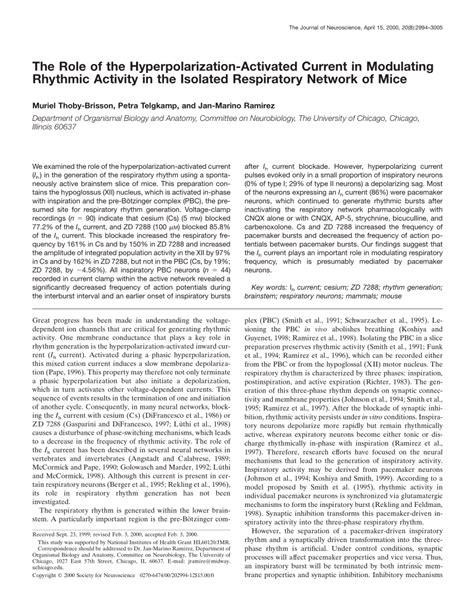 Pdf The Role Of The Hyperpolarization Activated Current Ih In