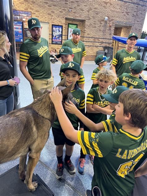 Tulsa Dog Training Gallery Dog Training Tulsa Gallery
