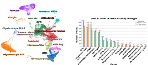 Explainable Ai Model Reveals Disease Related Mechanisms In Single Cell Rna Seq Data