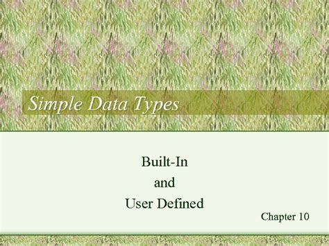 Simple Data Types Built In And User Defined Chapter