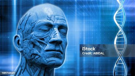 블루 의료 배경 Dna 기호 및 인체 해부학 남성의 근육 구조 3d 렌더링 0명에 대한 스톡 사진 및 기타 이미지 0명 3차원 형태 건강관리와 의술 Istock