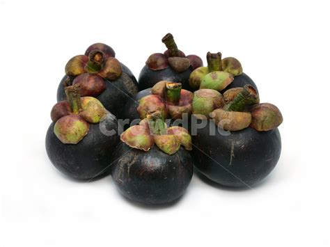 Fruit 과일 Food 음식 태국과일 사진이미지일러스트캘리그라피 Goodfly작가