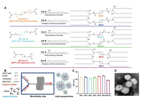 专访四川大学宋相容教授：新型lnp载体，让mrna疫苗更安全、更高效 研究员 疫苗 载体 健康界