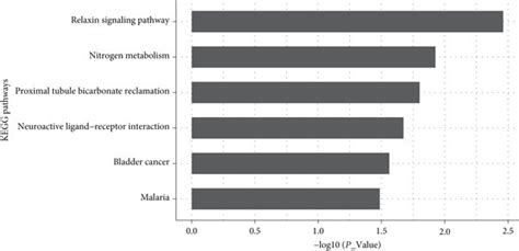 Go Kegg Pathway Enrichment Analysis For The Differentially Expressed Download Scientific