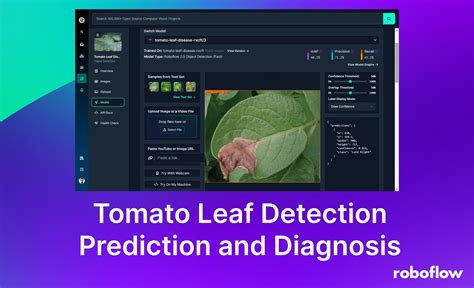 Tomato Leaf Disease Detection And Diagnosis Using Computer Vision