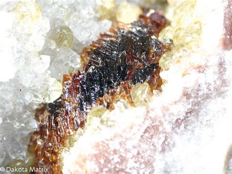 Variscite Mineral Specimen For Sale