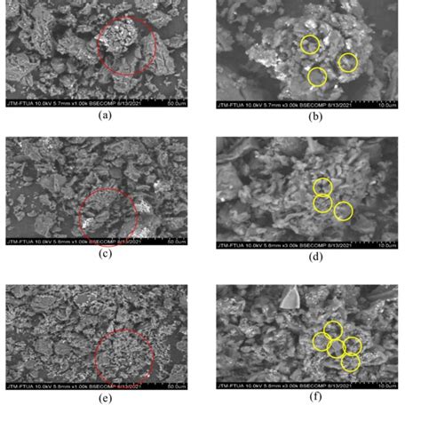 sem result for a nacl 1 m 1000x b nacl 1 m 3000x c nacl 2 m