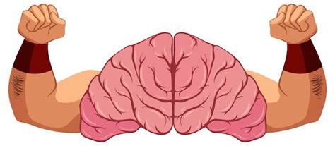 Organoid Intelligence The Process Of Using Human Brain Cells To Power