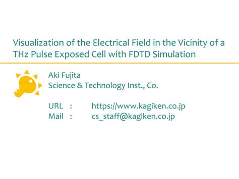 Visualization Of The Electrical Field In The Vicinity Of A Thz Pulse