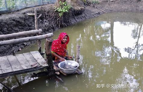 孟加拉国女性现状报告 知乎