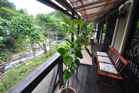 山の中カフェ りこTea川のほとりに立つ週末カフェで街の喧噪から離れて寛ぎタイム カゴシマプラス