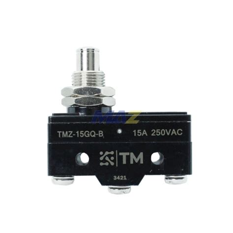 Interruptor Final De Carrera Pivote Grande