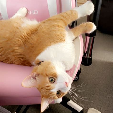 Paige Rivera Youtube