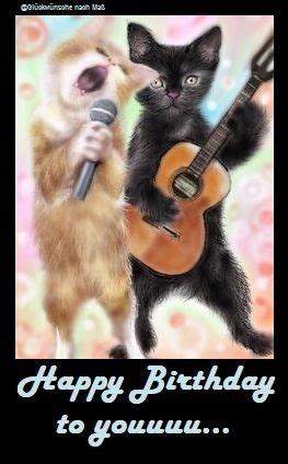Pin By Manuela Georgiadis On Birthday Pretty Cats Silly Cats