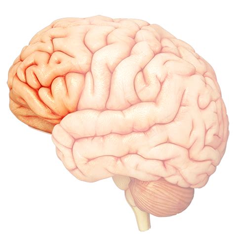 Candor Health Education