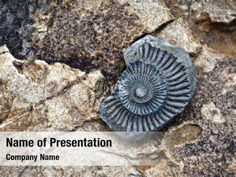 Stone Fossil Red Powerpoint Template Stone Fossil Red Powerpoint Background Stone Fossil Red Powerpoint Template Stone Fossil Red Powerpoint Background
