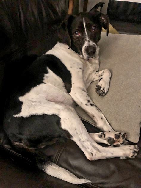 Solve Penny Jigsaw Puzzle Online With Pieces