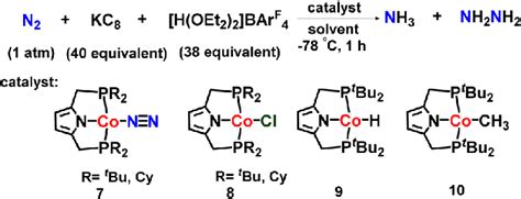 Cobalt Complexes Towards Ammonia Formation Download Scientific Diagram