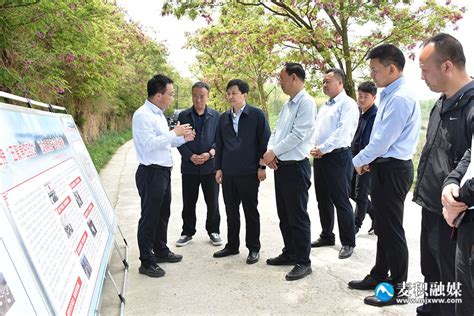 市委调研组调研麦积区农业农村重点工作图 天水在线