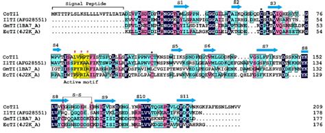 Sequence Alignment Of Coti1 With Relative Kunitz Type Trypsin