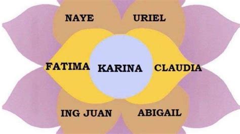 La Flor De La Abundancia Y La Estafa Por WhatsApp Infofueguina