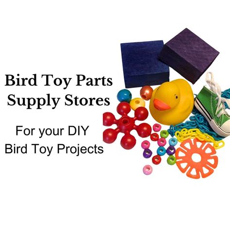 Pds Blog Pds Parrot Shop
