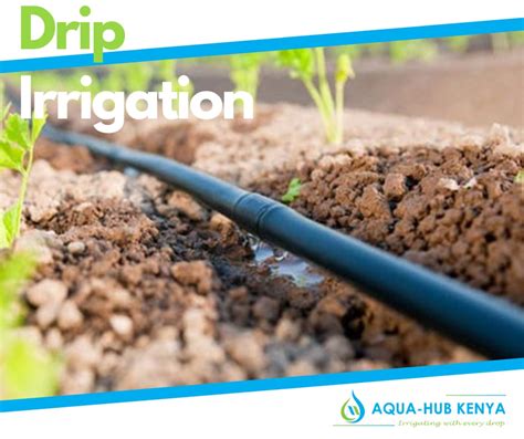 Drip Irrigation Systems Aqua Hub Kenya Ltd