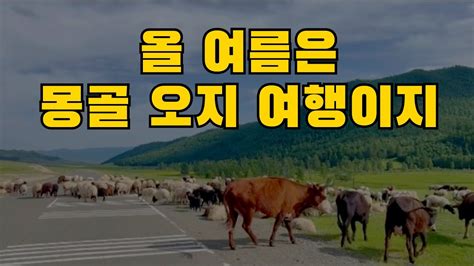 비행기표 포함 안하고 180만원으로 10박의 몽골여행 한국인들의 여름 여행지다 최고급 골프여행도 함께 왕처럼 누리다 오면