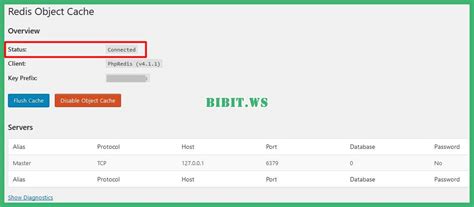 Cara Instal Redis Cache Di EasyEngine Sampai Aktif Bibit WS Blog