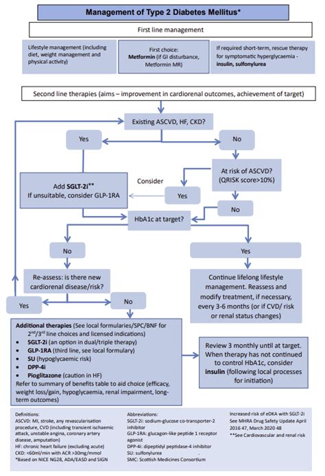 Qanda Version Of The Management Of Type Ii Diabetes Mellitus Right Decisions