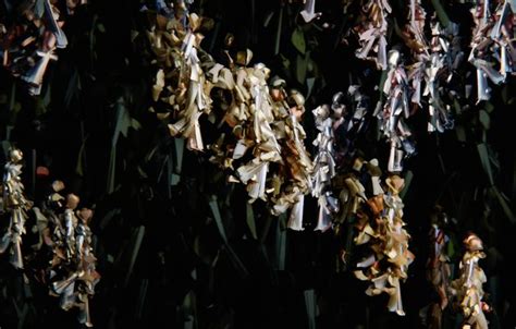 Nude Descending A Staircase No3 Nowness