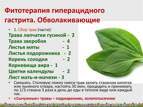 Фитотерапия в гастроэнтерологии - презентация онлайн