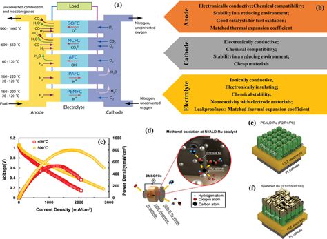 Fuel Cells Types At Lester Shippy Blog