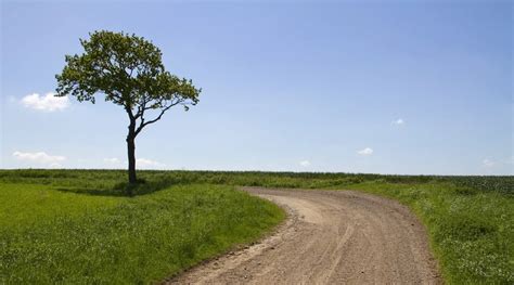 Opic 등급별 준비 방법 Ih Al Im 단계별 전략