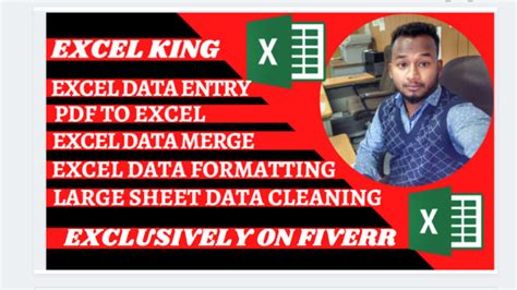Be Your Excel King Do Data Entryexcel Data Mergeformatting By Saiful
