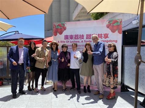 三藩市甜蜜接荔廣東荔枝開啟全球行 每日頭條