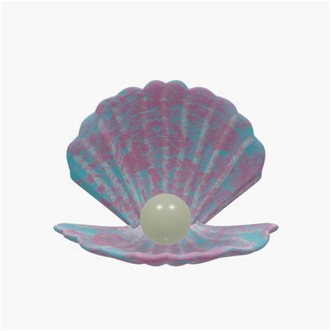 Modelo 3d Pink Sea Shell Turbosquid 2074495