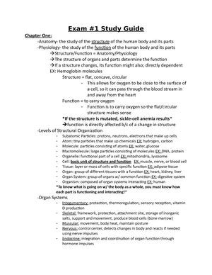 A P Study Guide Exam Lecture Notes Exam Chapter An Overview Of Anatomy And Physiology