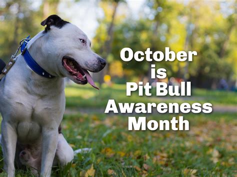 Pit Bull Awareness Nhspca
