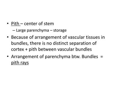 Ppt Chapter Stems And Plant Transport Chapter Roots