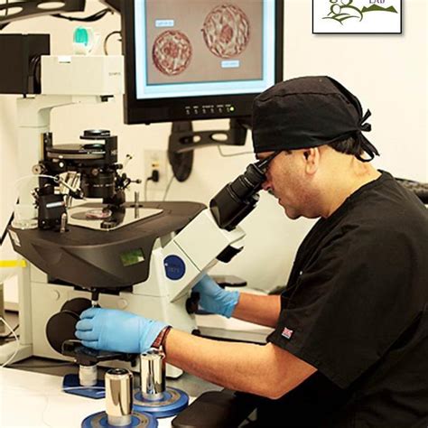 Rocky Mountain Fertility Center Reproductive Endocrinologists Parker Co