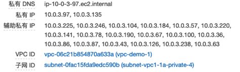 使用 Amazon Vpc Cni 插件搭建自定义网络环境的 Kubernetes 集群 亚马逊aws官方博客
