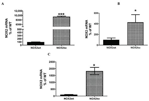 Analysis Of The Nox2 Mrna Expression By Qrt Pcr A And B Or
