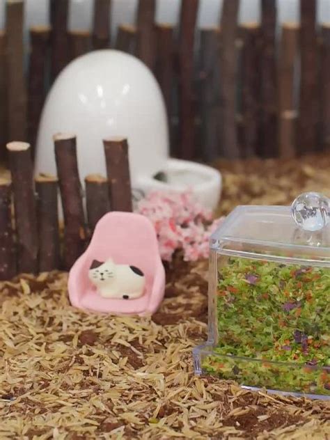 Lzd Rutin Chicken Feeder Automatic Chicken Food Container Trough Food
