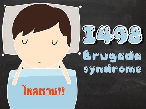 โคตรเด๋อ ไทยแลนด์ Coder Thailand Home Facebook