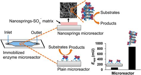 Immobilized Enzyme Microreactor With Nanospring Matrix To Increase