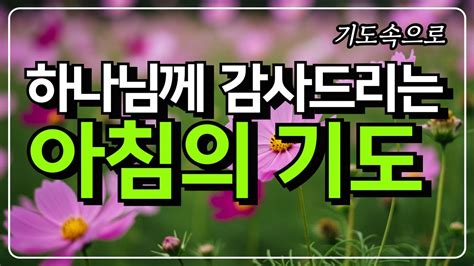 하나님께 감사드리는 아침의 기도 ㅣ 아침을 여는 기도 ㅣ 하루를 시작하는 기도 ㅣ 감사기도 ㅣ 기도속으로 ㅣ 1시간기도 Youtube